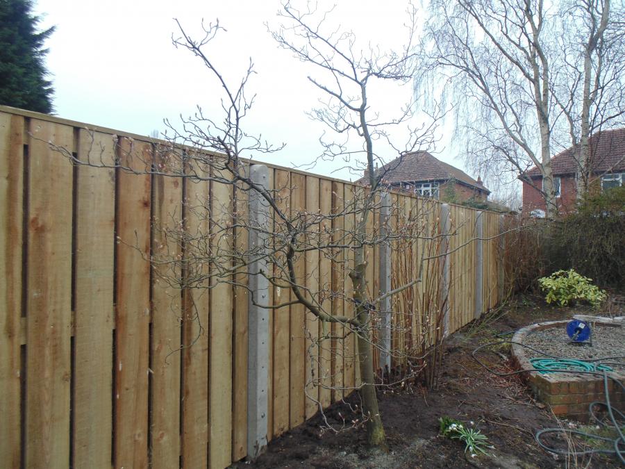 Gap Board Fencing - Products - Gates and fencing in York - Sandalwood ...
