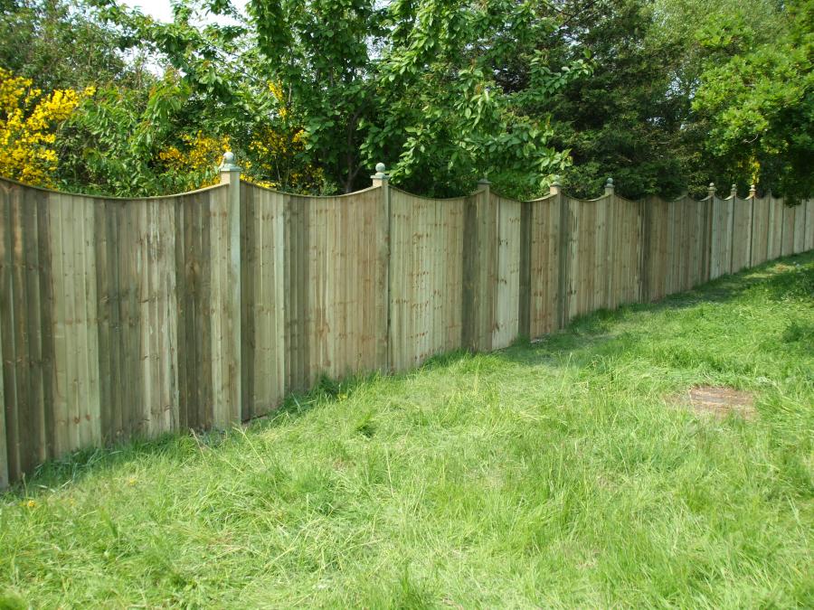 Swept Top Featherboard Fencing - Products - Gates and fencing in York ...